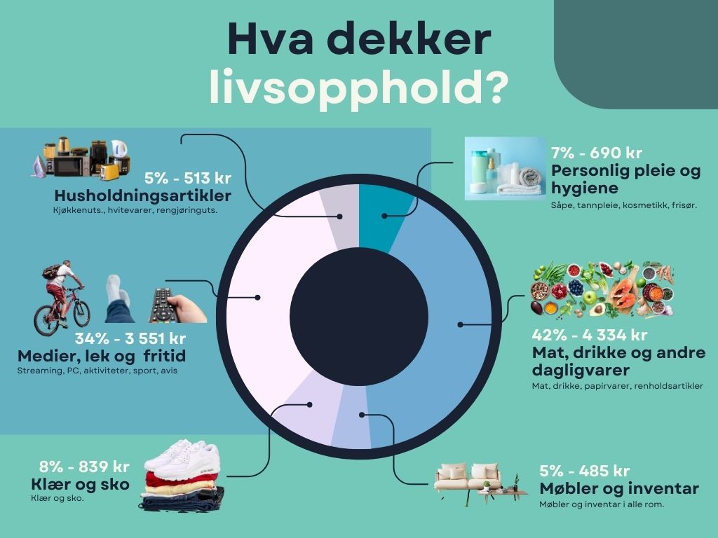 Hva skal livsopphold dekke? Her får du full oversikt!